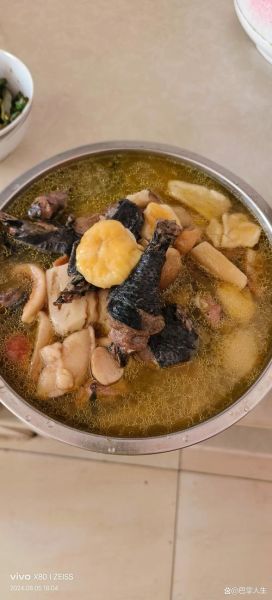 野山鸡怎么炖好吃_野山鸡的家常做法大全-第2张图片-山城妙识