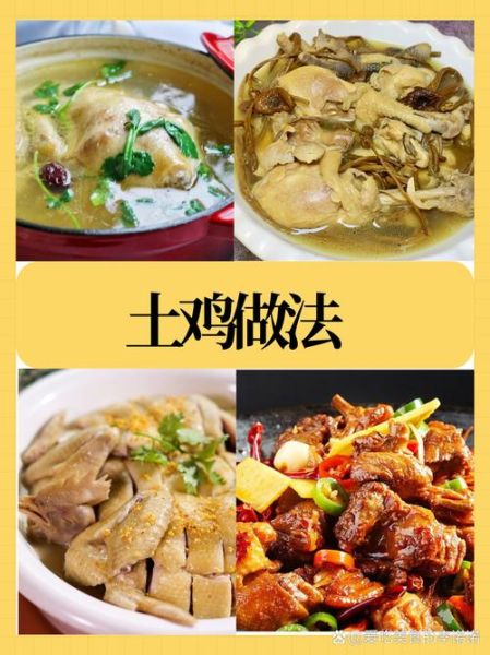 野山鸡怎么炖好吃_野山鸡的家常做法大全-第1张图片-山城妙识