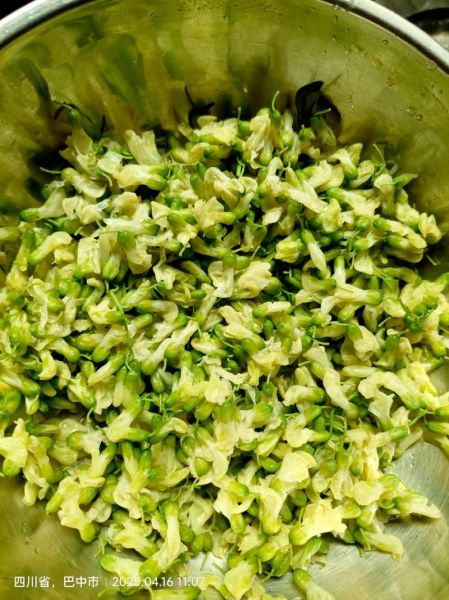 槐花煎饼怎么做_槐花煎饼的功效与作用-第2张图片-山城妙识 槐花煎饼怎么做_槐花煎饼的功效与作用-第2张图片-山城妙识