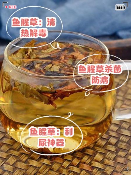 鱼腥草怎么煮水喝_鱼腥草煮水的正确方法-第1张图片-山城妙识 鱼腥草怎么煮水喝_鱼腥草煮水的正确方法-第1张图片-山城妙识