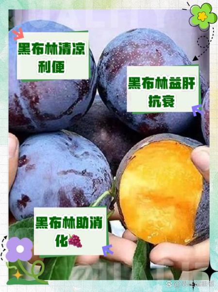 黑布林水果的功效与作用_黑布林怎么吃最好-第1张图片-山城妙识