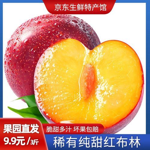 黑布林水果的功效与作用_黑布林怎么吃最好-第3张图片-山城妙识