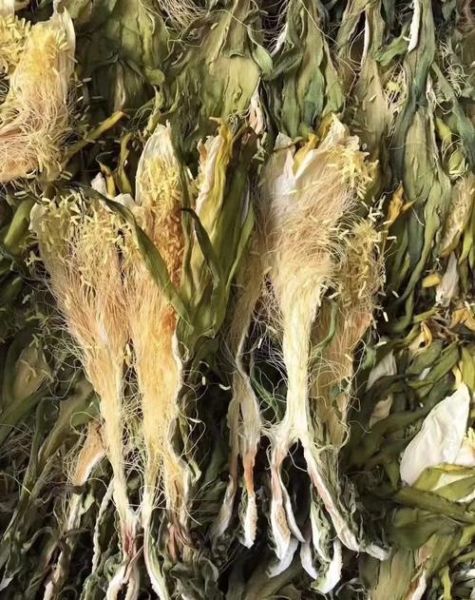 霸王花跟什么煲汤最好_霸王花煲汤最佳搭配-第2张图片-山城妙识