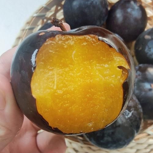 黑布林上火吗_黑布林吃多了会不会上火-第1张图片-山城妙识 黑布林上火吗_黑布林吃多了会不会上火-第1张图片-山城妙识