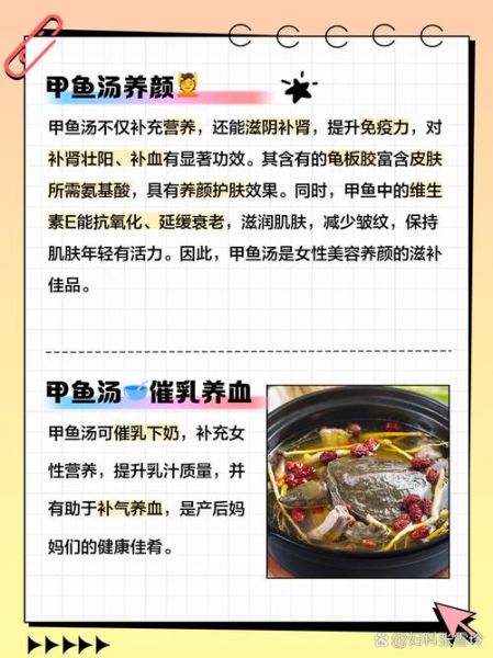 甲鱼汤怎么炖_甲鱼汤炖多久才营养-第1张图片-山城妙识 甲鱼汤怎么炖_甲鱼汤炖多久才营养-第1张图片-山城妙识