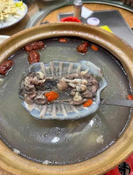 甲鱼汤怎么炖_甲鱼汤炖多久才营养-第3张图片-山城妙识 甲鱼汤怎么炖_甲鱼汤炖多久才营养-第3张图片-山城妙识