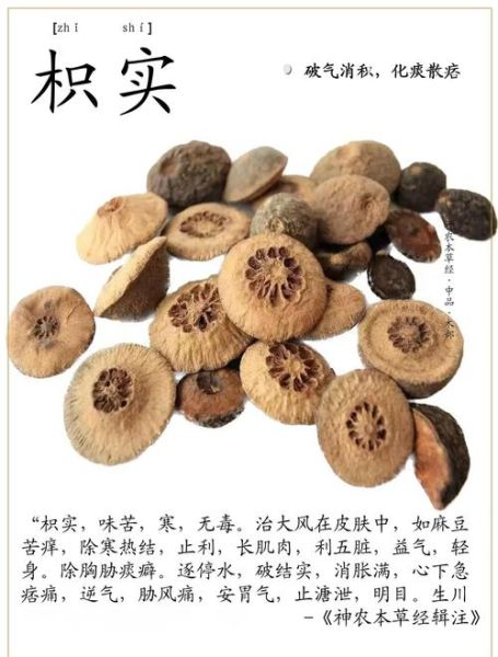 枳壳和枳实的功效区别_哪个更适合调理脾胃-第2张图片-山城妙识