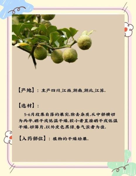 枳壳和枳实的功效区别_哪个更适合调理脾胃-第3张图片-山城妙识