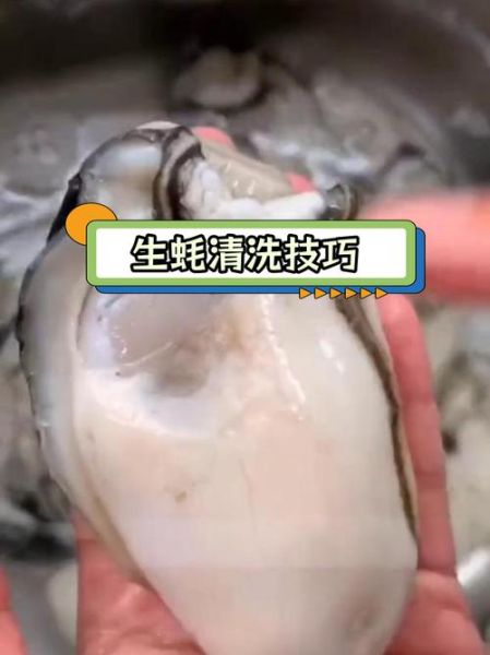 牡蛎怎么清洗_牡蛎的营养价值-第2张图片-山城妙识