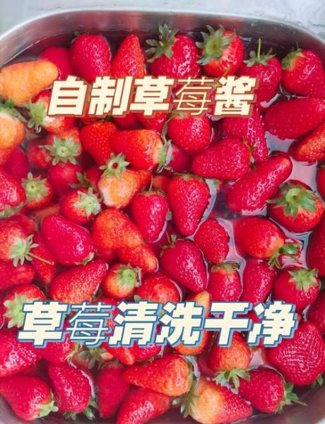 草莓酱子怎么做_草莓酱子能保存多久-第1张图片-山城妙识