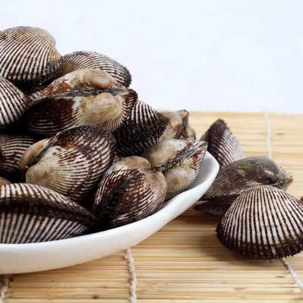 毛蚶子怎么清洗_毛蚶子蒸多久才熟-第2张图片-山城妙识