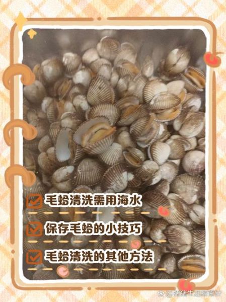 毛蚶子怎么清洗_毛蚶子蒸多久才熟-第1张图片-山城妙识