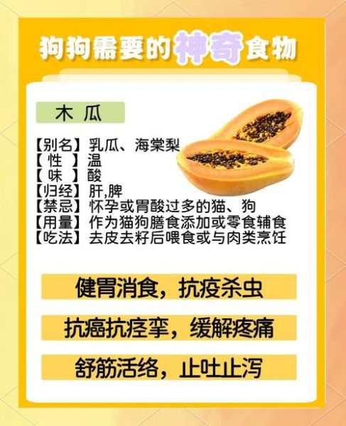 木瓜能治什么病_木瓜的药用价值与功效-第3张图片-山城妙识 木瓜能治什么病_木瓜的药用价值与功效-第3张图片-山城妙识