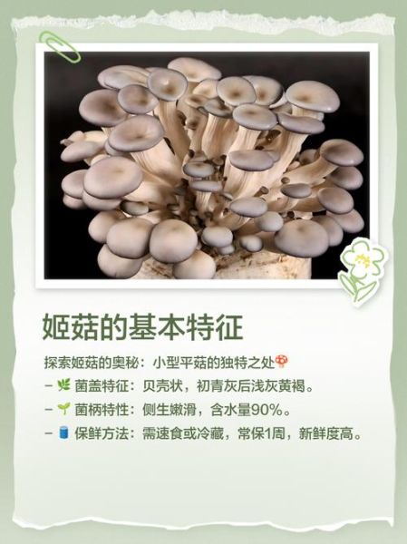 姬菇图片_姬菇怎么做好吃-第2张图片-山城妙识 姬菇图片_姬菇怎么做好吃-第2张图片-山城妙识