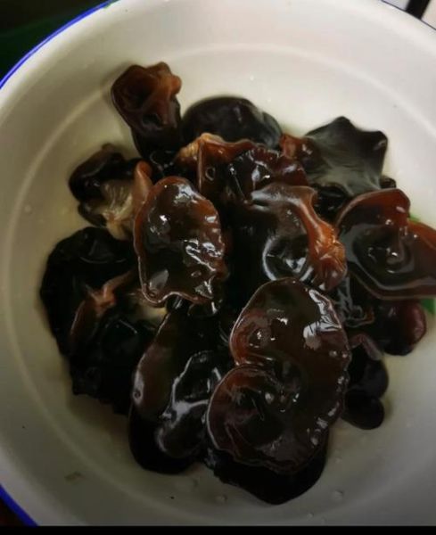 黑木耳怎么泡发_黑木耳图片怎么拍好看-第2张图片-山城妙识