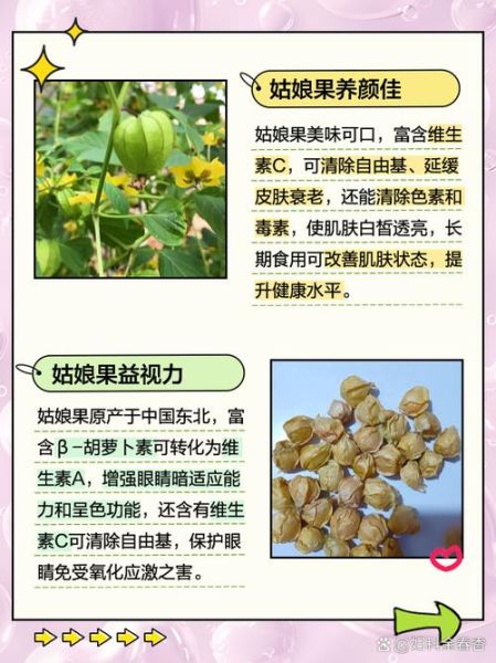 姑娘果的营养价值及功效与作用_姑娘果一天吃多少合适-第2张图片-山城妙识