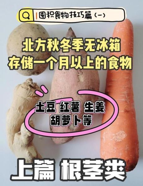秋季蔬菜有哪些_秋季蔬菜怎么保存-第1张图片-山城妙识