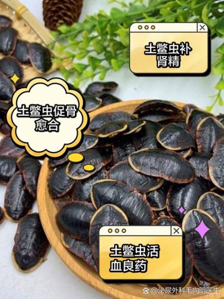 土鳖虫哪些人不能吃_土鳖虫禁忌人群-第2张图片-山城妙识 土鳖虫哪些人不能吃_土鳖虫禁忌人群-第2张图片-山城妙识