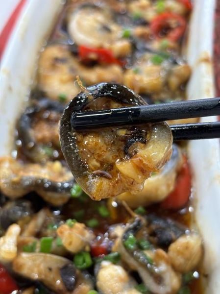 鳗鱼怎么做好吃_家常做法步骤详解-第2张图片-山城妙识