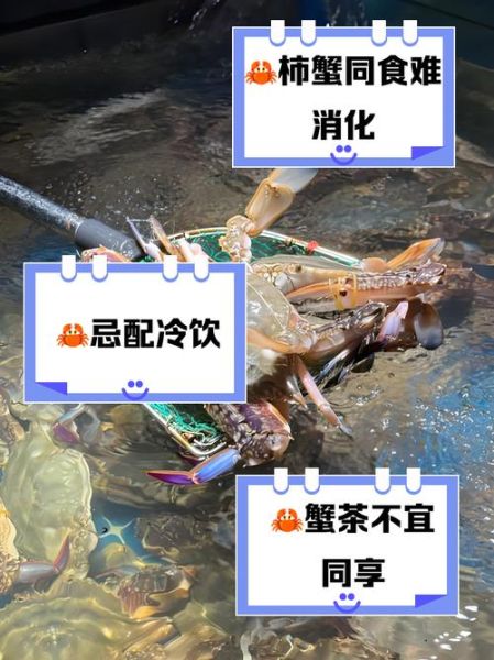 吃螃蟹不能喝什么饮料_吃螃蟹的禁忌饮料有哪些-第3张图片-山城妙识