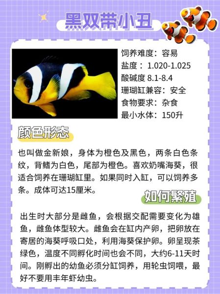 淡水观赏鱼有哪些_海水观赏鱼怎么养-第1张图片-山城妙识