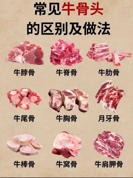 牛仔骨是牛的哪个部位_牛仔骨和牛小排的区别-第1张图片-山城妙识