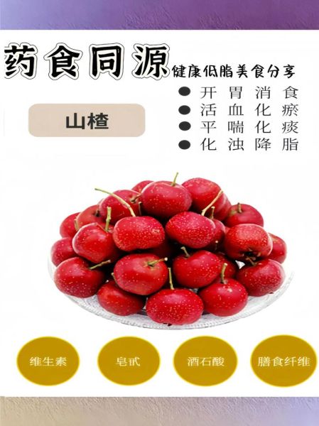 山楂果的功效与作用_山楂果怎么吃最健康-第2张图片-山城妙识 山楂果的功效与作用_山楂果怎么吃最健康-第2张图片-山城妙识