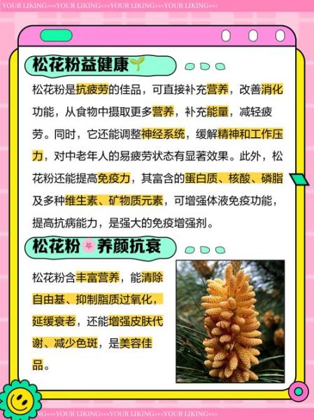 常吃松花粉有什么害处_松花粉副作用有哪些-第1张图片-山城妙识 常吃松花粉有什么害处_松花粉副作用有哪些-第1张图片-山城妙识