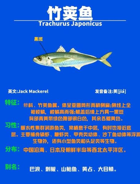 刺身鱼种类排名_哪些鱼适合做刺身-第2张图片-山城妙识 刺身鱼种类排名_哪些鱼适合做刺身-第2张图片-山城妙识