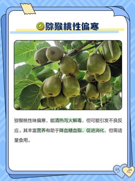 猕猴桃是凉性还是热性_吃猕猴桃会上火吗-第1张图片-山城妙识