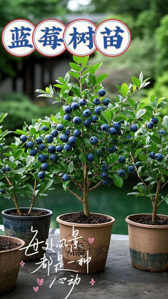 水果图片大全_哪些水果营养价值最高-第2张图片-山城妙识