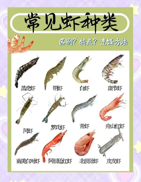 明虾和青虾的区别_哪个更好吃-第2张图片-山城妙识