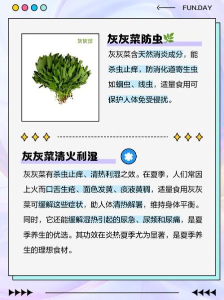 灰灰菜图片功效与作用_灰灰菜怎么吃最好-第2张图片-山城妙识