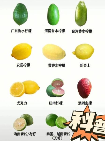 柠檬茶为什么下架_下架原因是什么-第2张图片-山城妙识