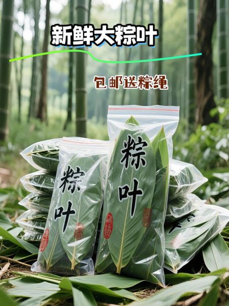 鲜粽叶怎么处理才能用_鲜粽叶使用前要不要煮-第3张图片-山城妙识