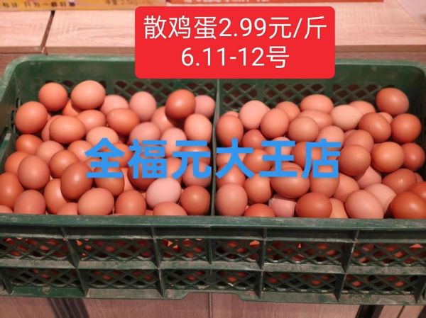 今日山东鸡蛋价格多少钱一斤_禽病网实时行情-第3张图片-山城妙识