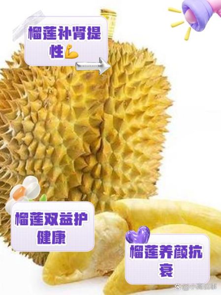 榴莲的功效与作用禁忌_榴莲的产地在哪里-第3张图片-山城妙识