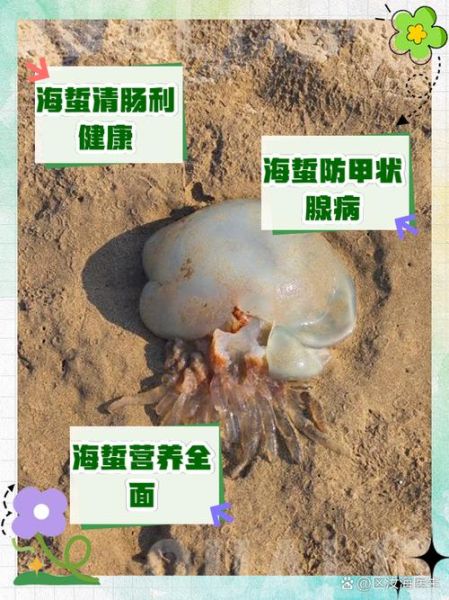 鲜海蜇有毒吗_怎么处理才能吃-第1张图片-山城妙识 鲜海蜇有毒吗_怎么处理才能吃-第1张图片-山城妙识