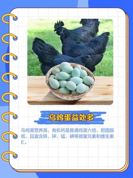 女性每天吃一个乌鸡蛋好不好_乌鸡蛋营养价值-第1张图片-山城妙识 女性每天吃一个乌鸡蛋好不好_乌鸡蛋营养价值-第1张图片-山城妙识