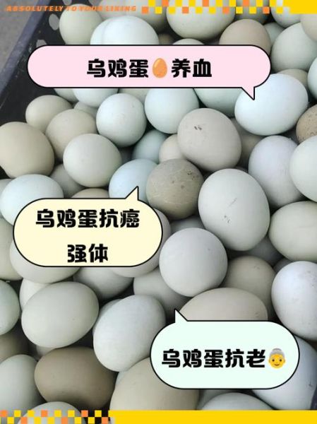 女性每天吃一个乌鸡蛋好不好_乌鸡蛋营养价值-第3张图片-山城妙识 女性每天吃一个乌鸡蛋好不好_乌鸡蛋营养价值-第3张图片-山城妙识