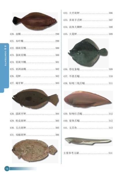 中国海鱼图鉴_常见品种有哪些-第1张图片-山城妙识