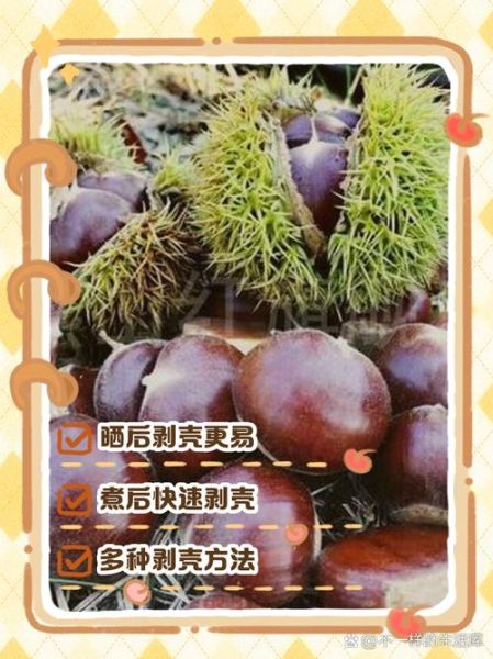 板栗怎么煮好吃_如何轻松剥壳-第1张图片-山城妙识