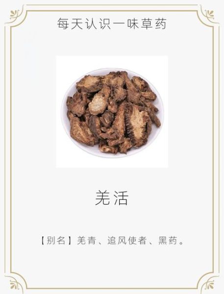 独活的功效与作用_独活与羌活的区别-第1张图片-山城妙识