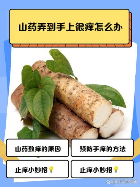粗山药怎么去皮不手痒_粗山药的做法大全图解-第1张图片-山城妙识