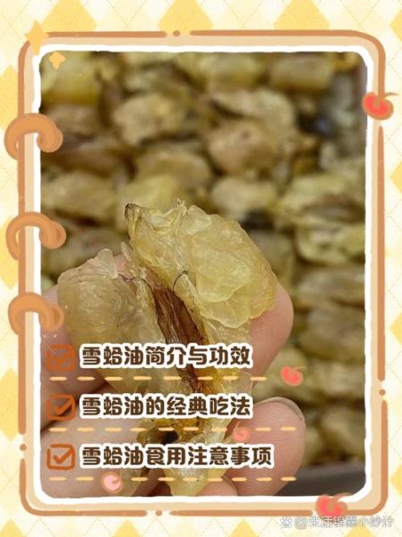 蛤蟆油的功效与作用_蛤蟆油怎么吃效果最好-第1张图片-山城妙识