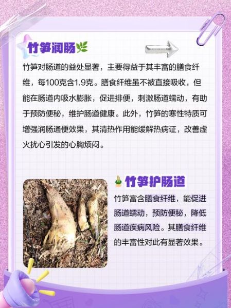 吃竹笋有什么好处_竹笋的营养价值-第2张图片-山城妙识