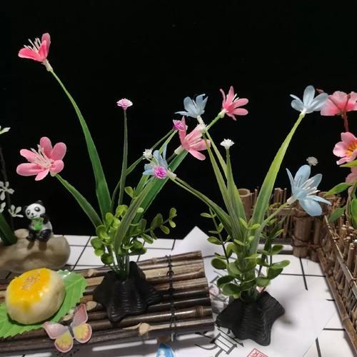 冷菜围边花草有哪些_冷菜围边花草怎么摆-第2张图片-山城妙识