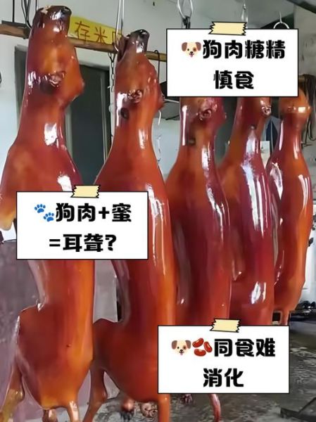 狗肉不能和什么一起吃会中毒_狗肉相克食物有哪些-第1张图片-山城妙识
