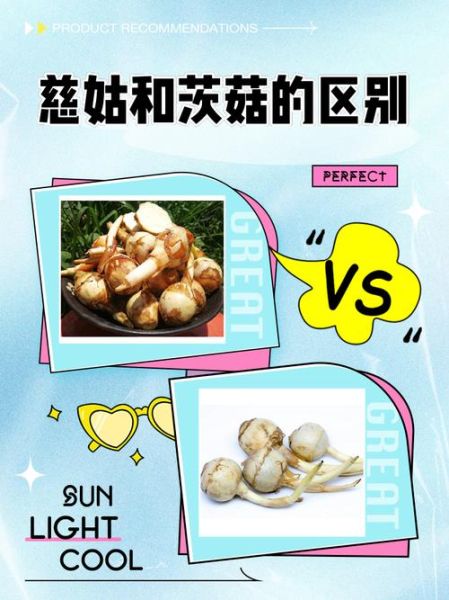 慈姑和茨菇的区别_茨菇和慈姑一样吗-第1张图片-山城妙识
