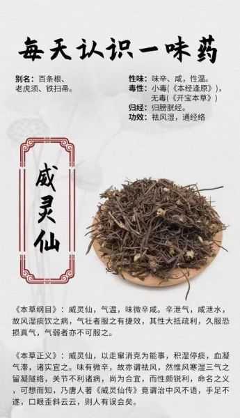 野生威灵仙图片_如何辨别真假-第3张图片-山城妙识 野生威灵仙图片_如何辨别真假-第3张图片-山城妙识